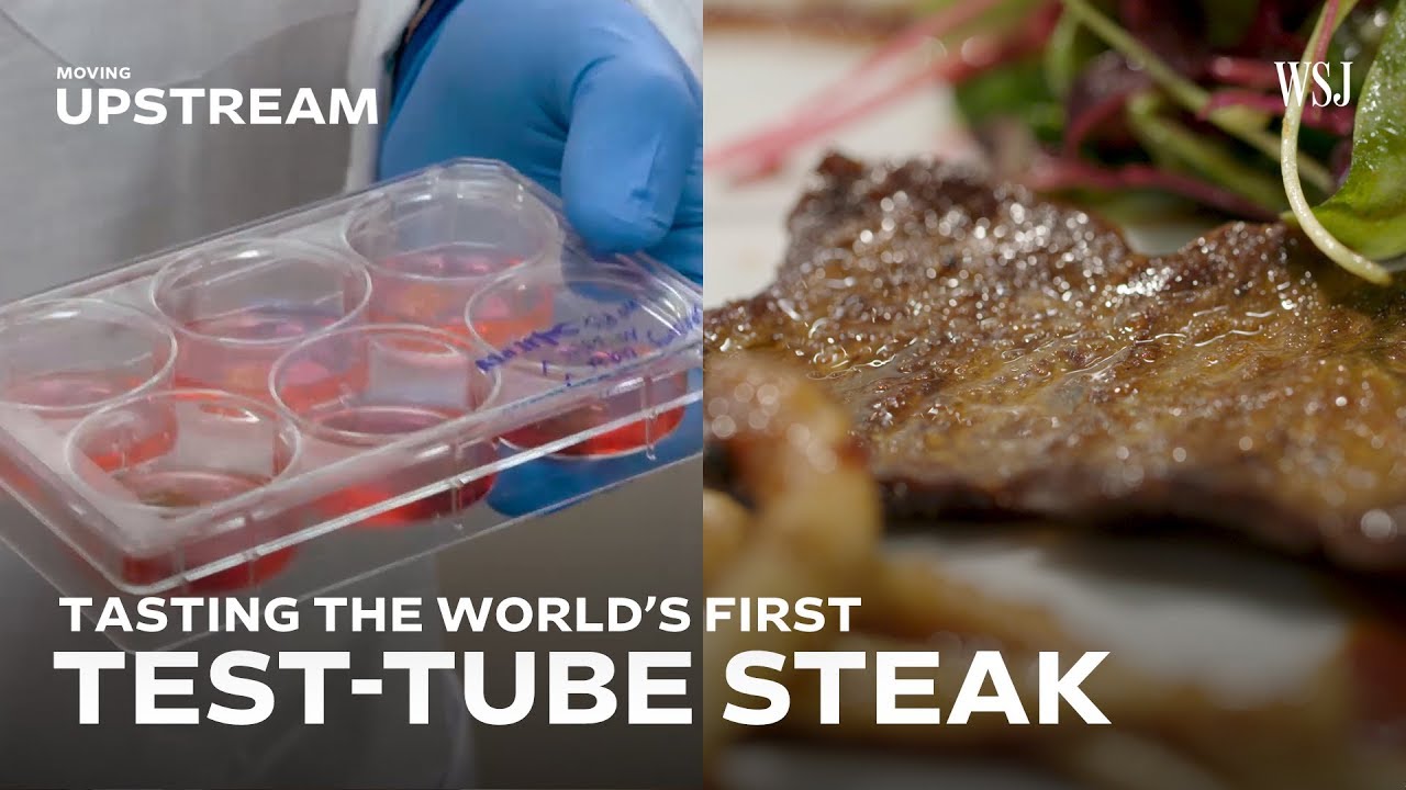 Would You Eat Lab Grown Meat? - 1Funny.com